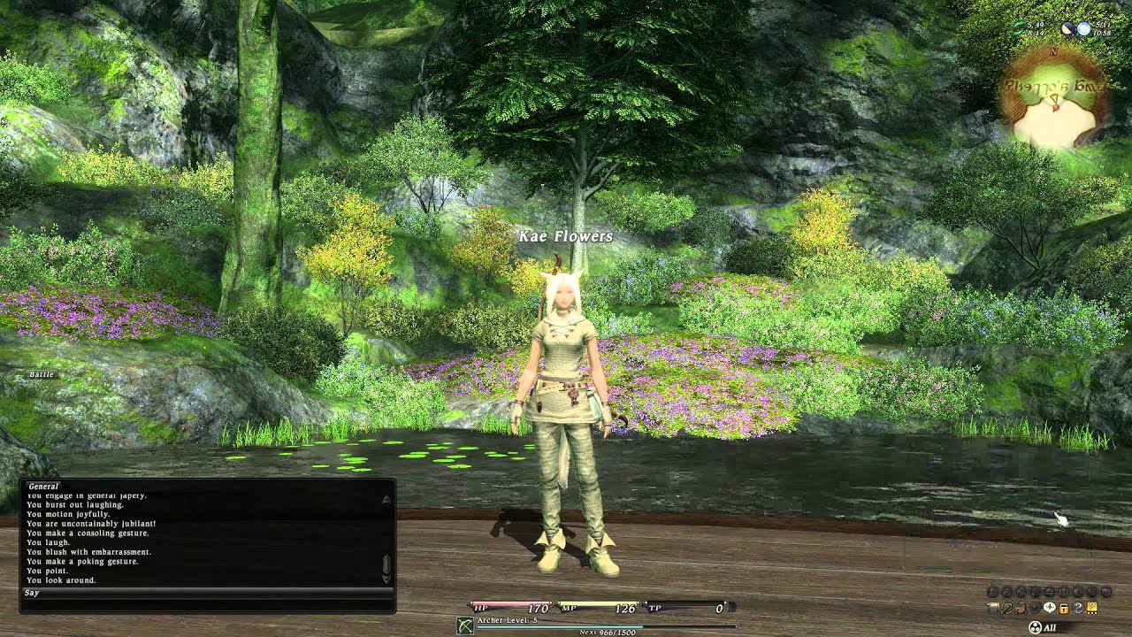Final Fantasy XIV Miqo'te Emotes HD - YouTube