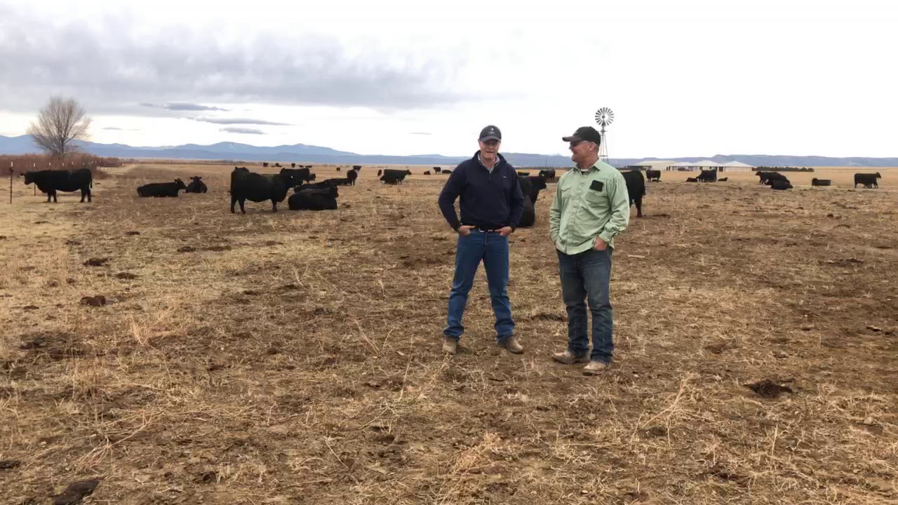 Chris Earl from Reverse Rocking R Ranch - YouTube