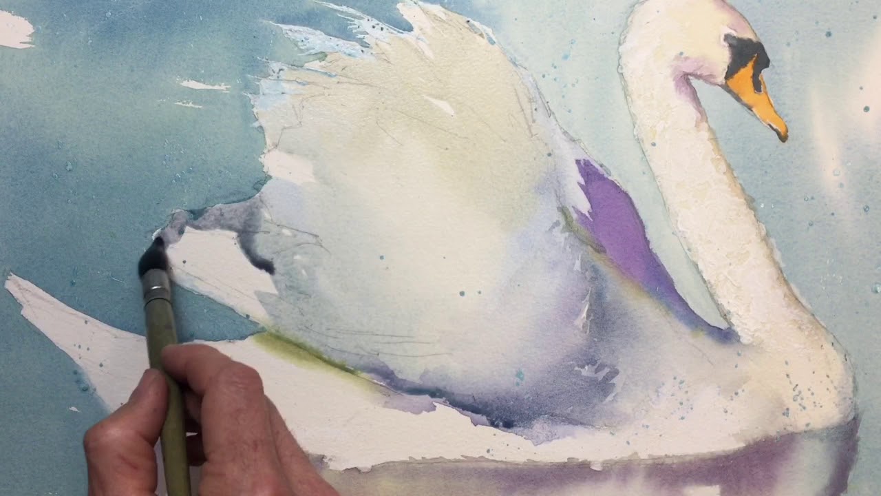 Paint A long Series - Part 2 How to paint a Swan in Watercolours - YouTube