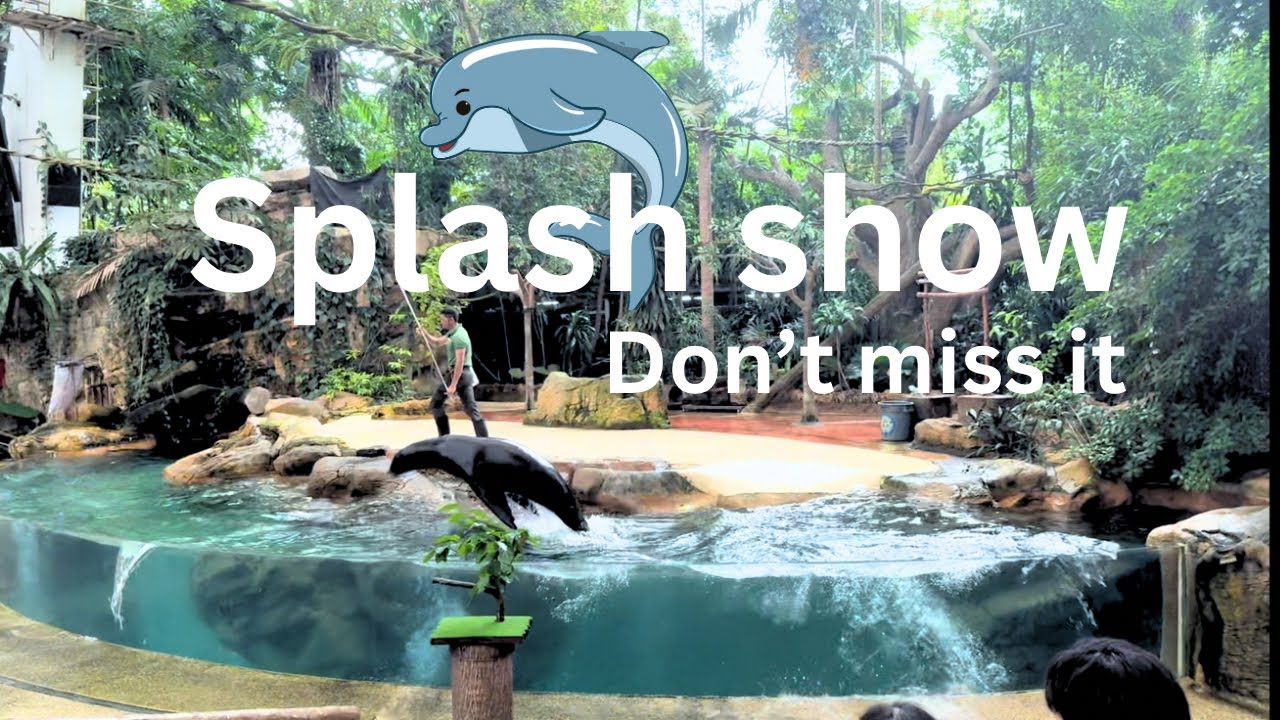 Splash show at Singapore Zoo || telugu #splash #seaanimals # ...