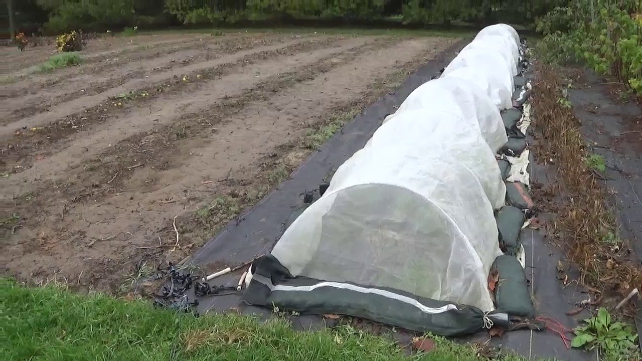 Gardening with ground cover tarps for better weed control - YouTube