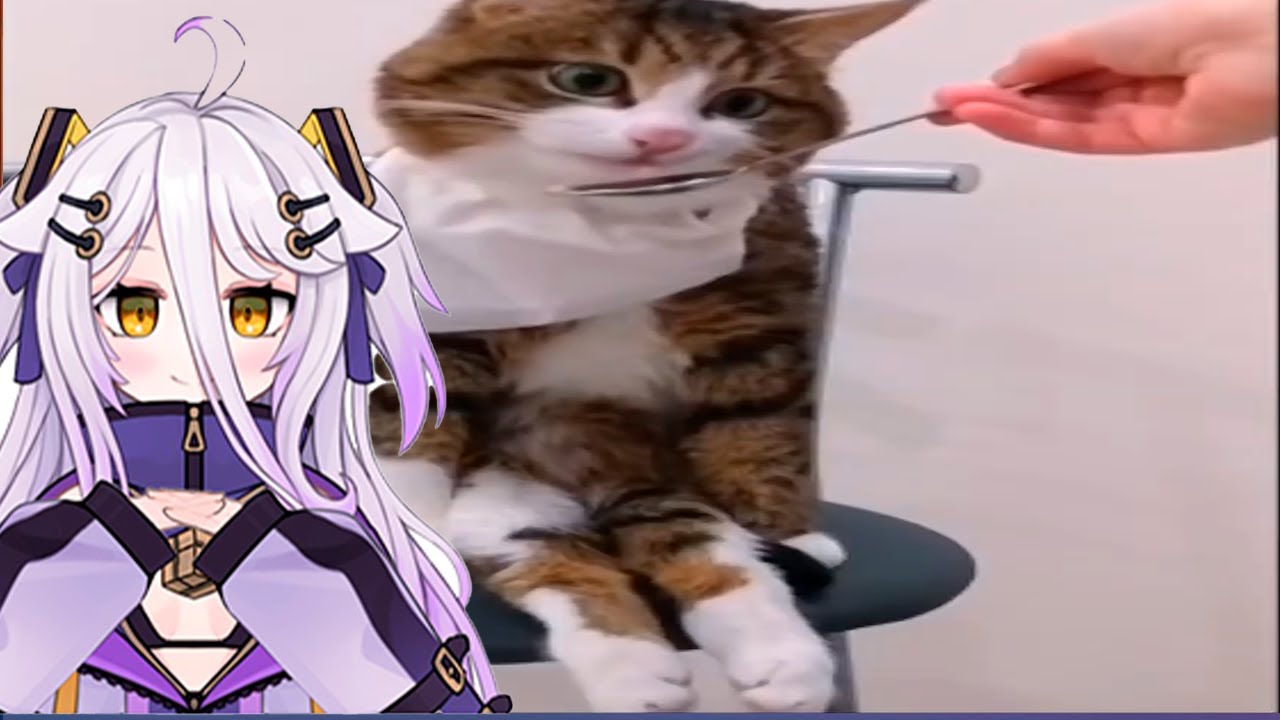 Henya Reacts | Daily Dose Of Internet - YouTube