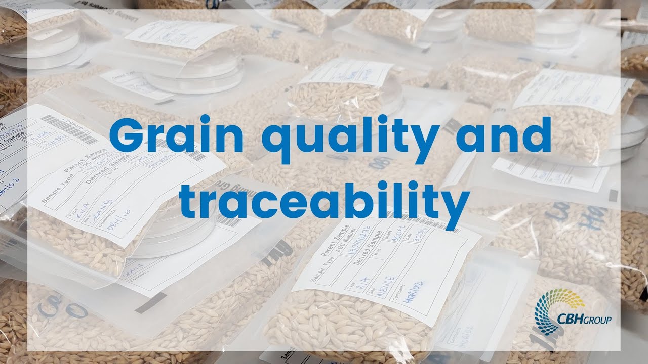 CBH Grain Quality and Traceability - YouTube