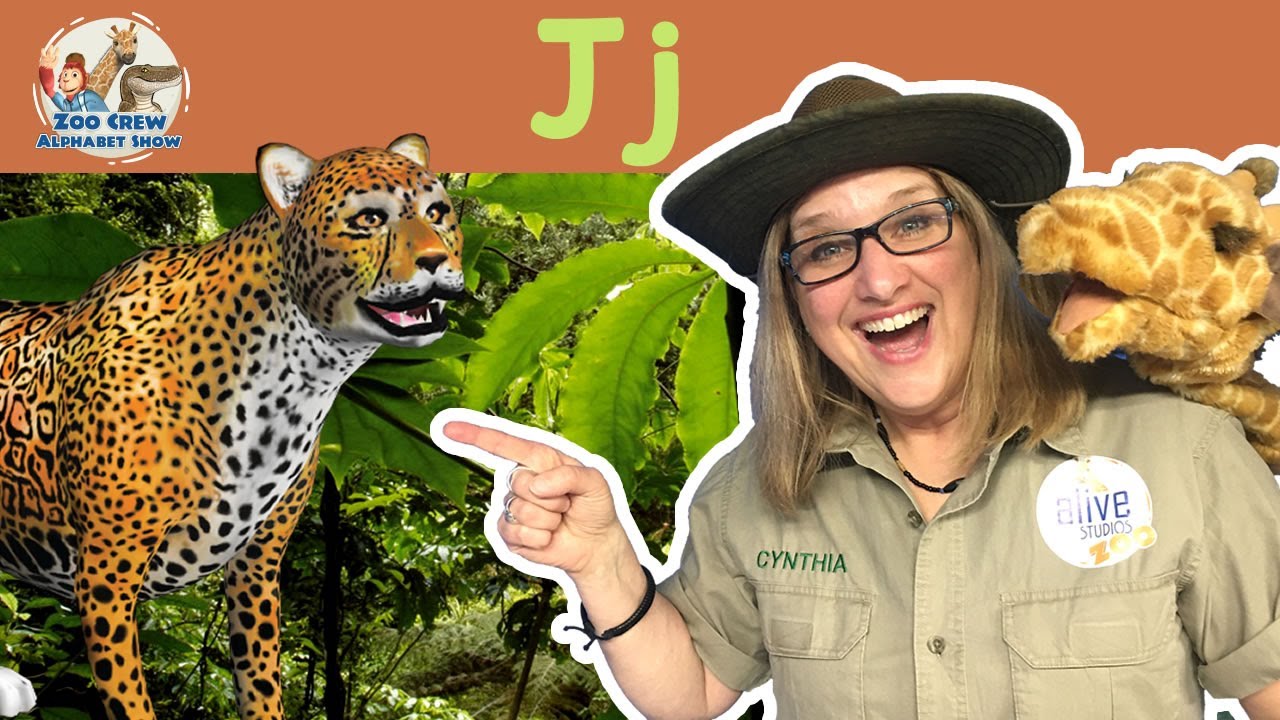 Zoo Crew Alphabet Show | Jaguars and Letter J - YouTube