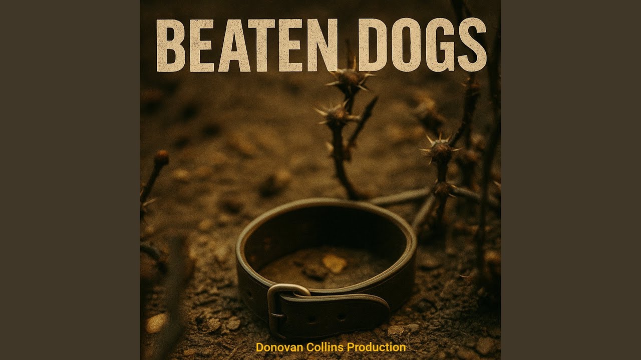 Beaten Dogs - YouTube