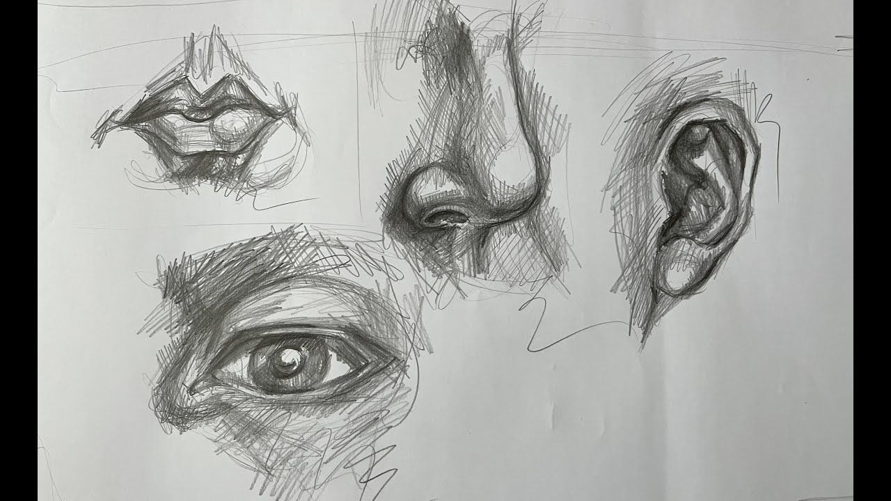 Eye, Nose, Lips, Ear Drawing / Drawing Techniques / Shading - YouTube