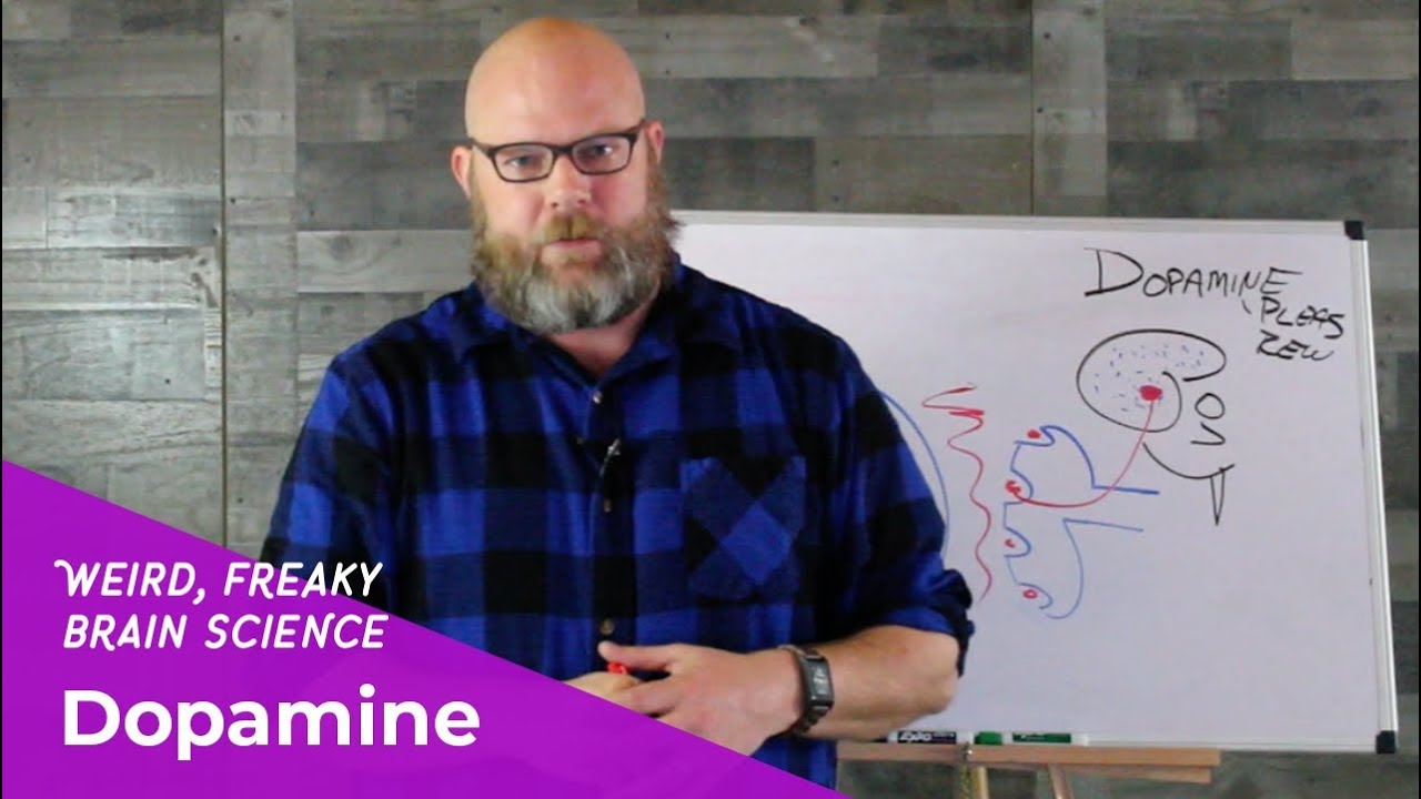 Weird, Freaky Brain Science Dopamine - YouTube