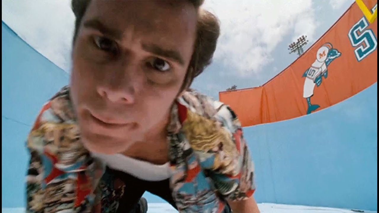 Funny GIF Memes: Jim Carrey as Ace Ventura - YouTube