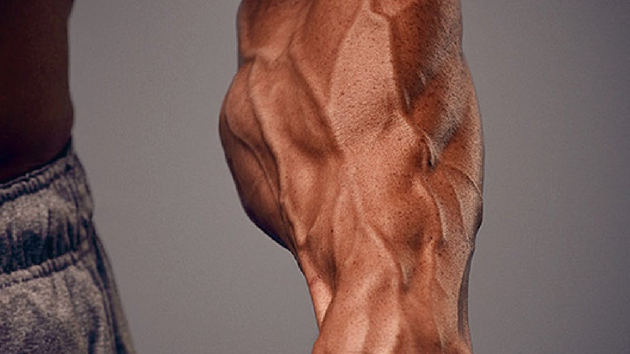 how to get big forearms intense workout - YouTube