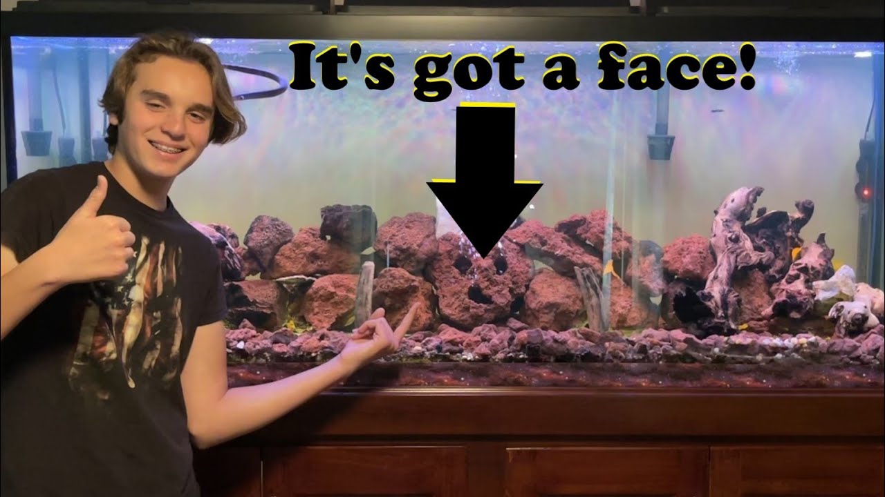 Rescaping Our 220 Gallon Aquarium Part 2 - Building Mount Ropefish ...