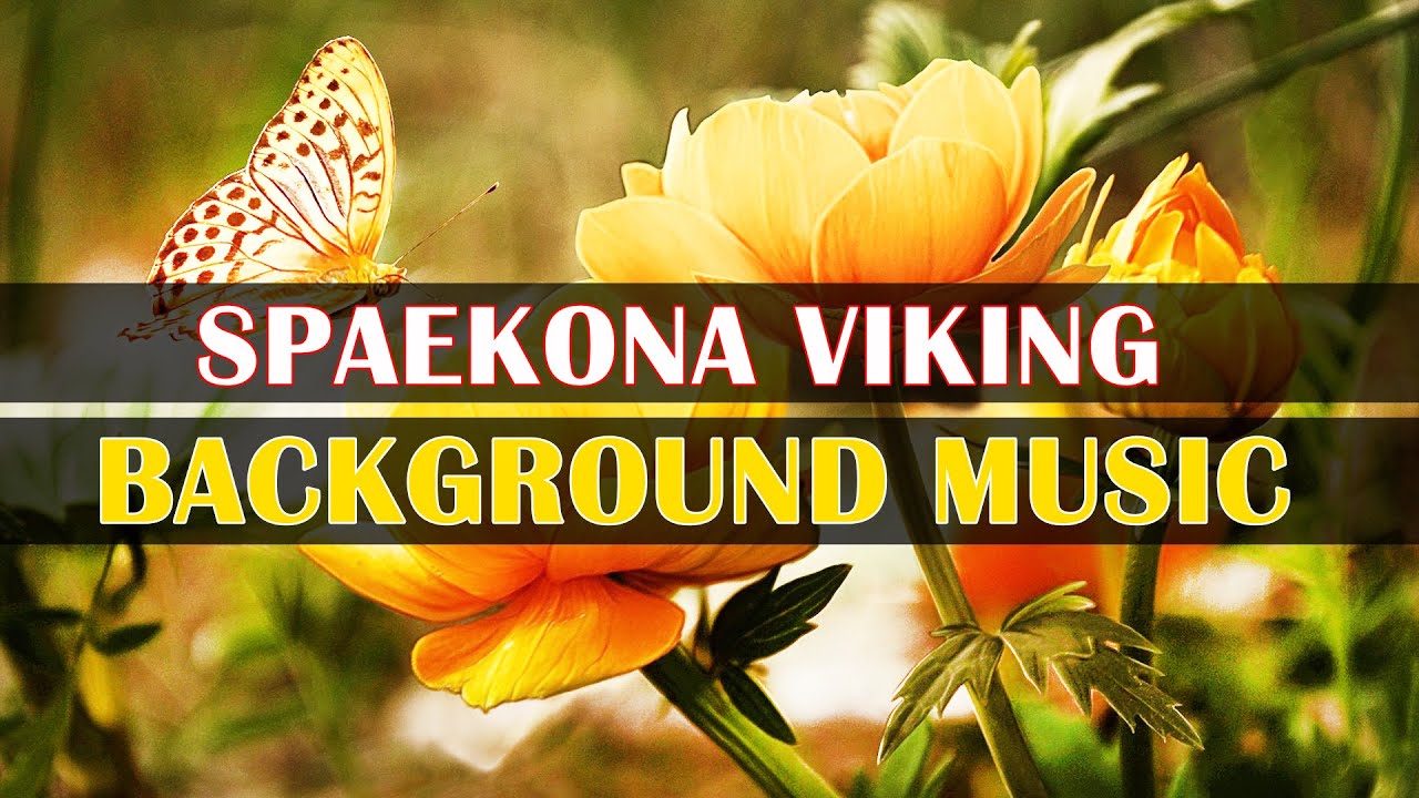 Spaekona Viking Background Music | - YouTube