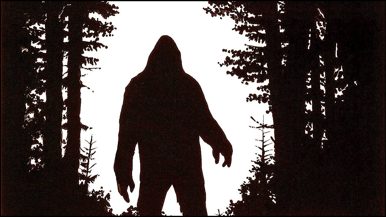 SASQUATCH: THE LEGEND OF BIGFOOT - 1976 CRYPTID CULT CLASSIC - YouTube