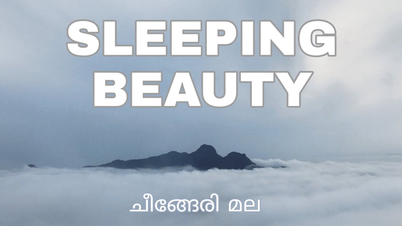 Cheengeri mala wayanad || Adventure tourism centre || Untold Wayanad 5 ...