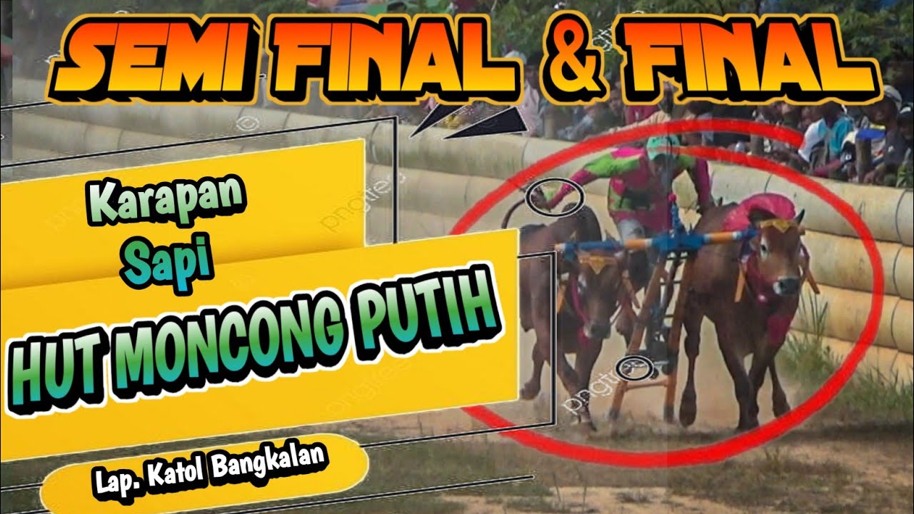 Full HD‼️Semi Final & Final HUT MONCONG PUTIH 2024 || Lap.Katol ...