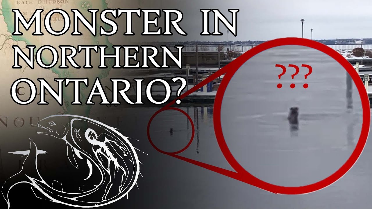 Mug-Wump: The Monster of Lake Temiskaming, Ontario - YouTube