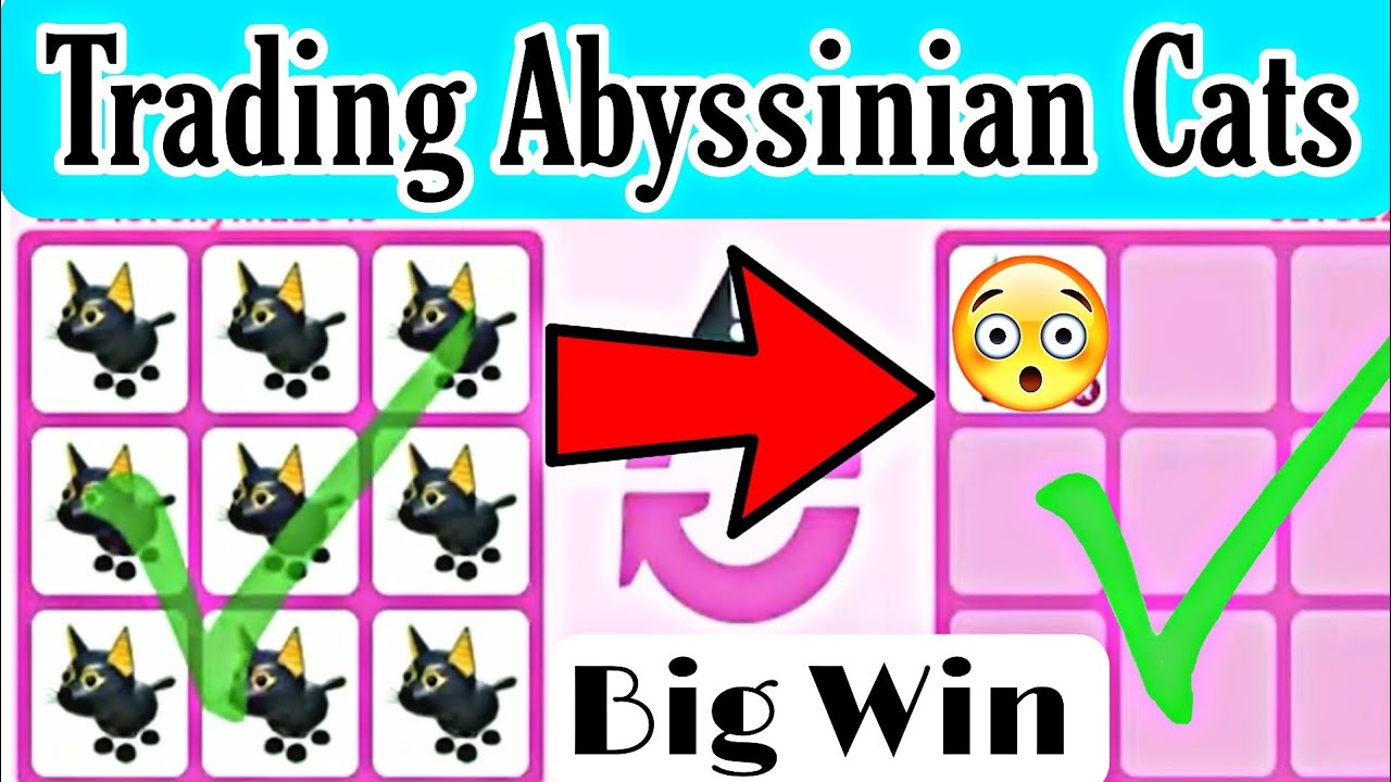 I Traded My all ABYSSINIAN Cats In Adopt Me - YouTube