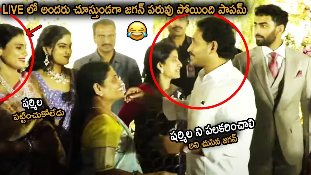 అందరు చూస్తుండగా 🤫: See How YS Sharmila Ignored CM Jagan at His Son ...