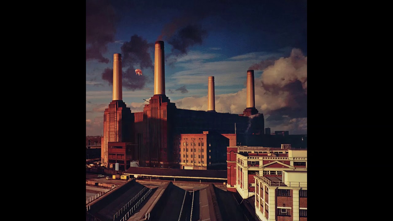 Pink Floyd - Pigs (Three Different Ones) (458Hz) - YouTube