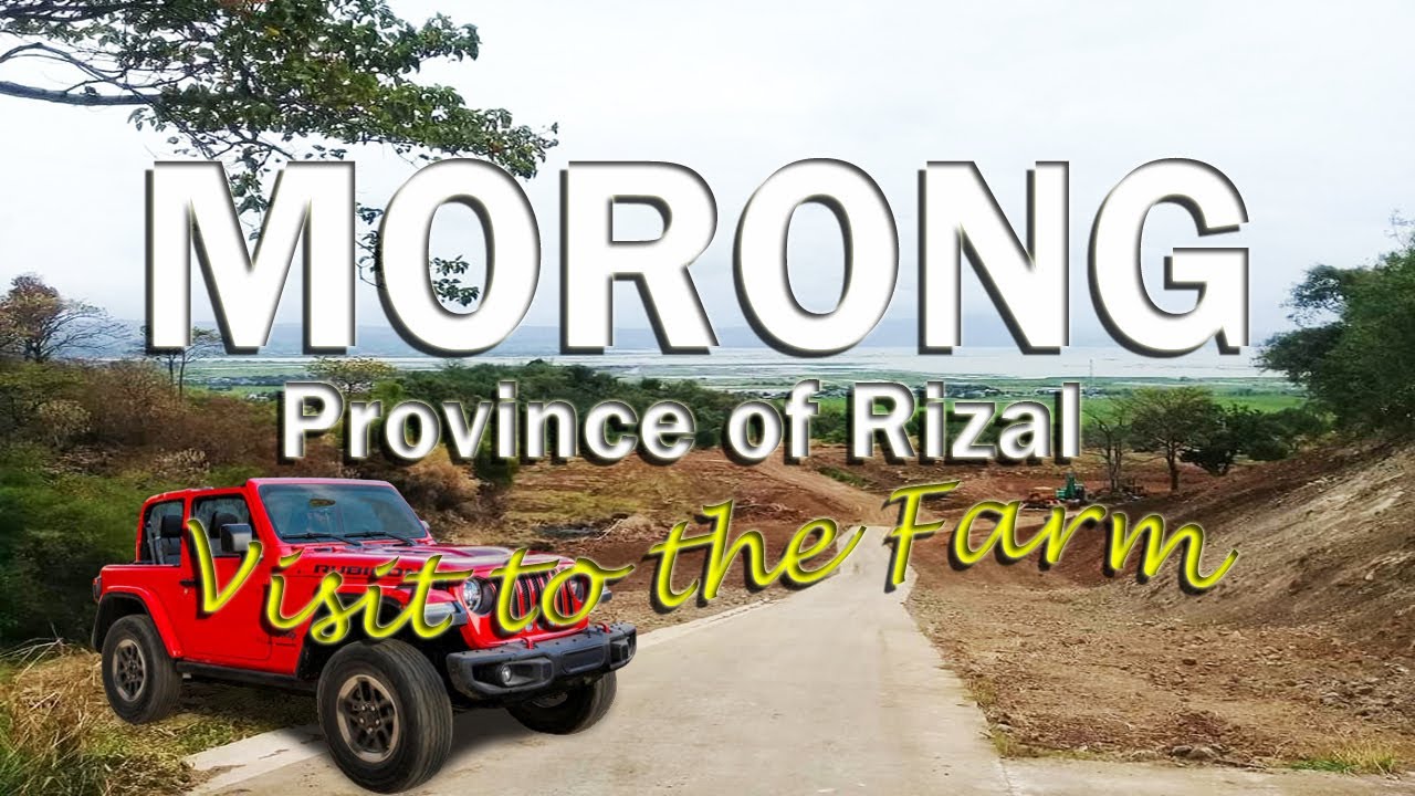 MORONG RIZAL - VISIT TO THE FARM - YouTube