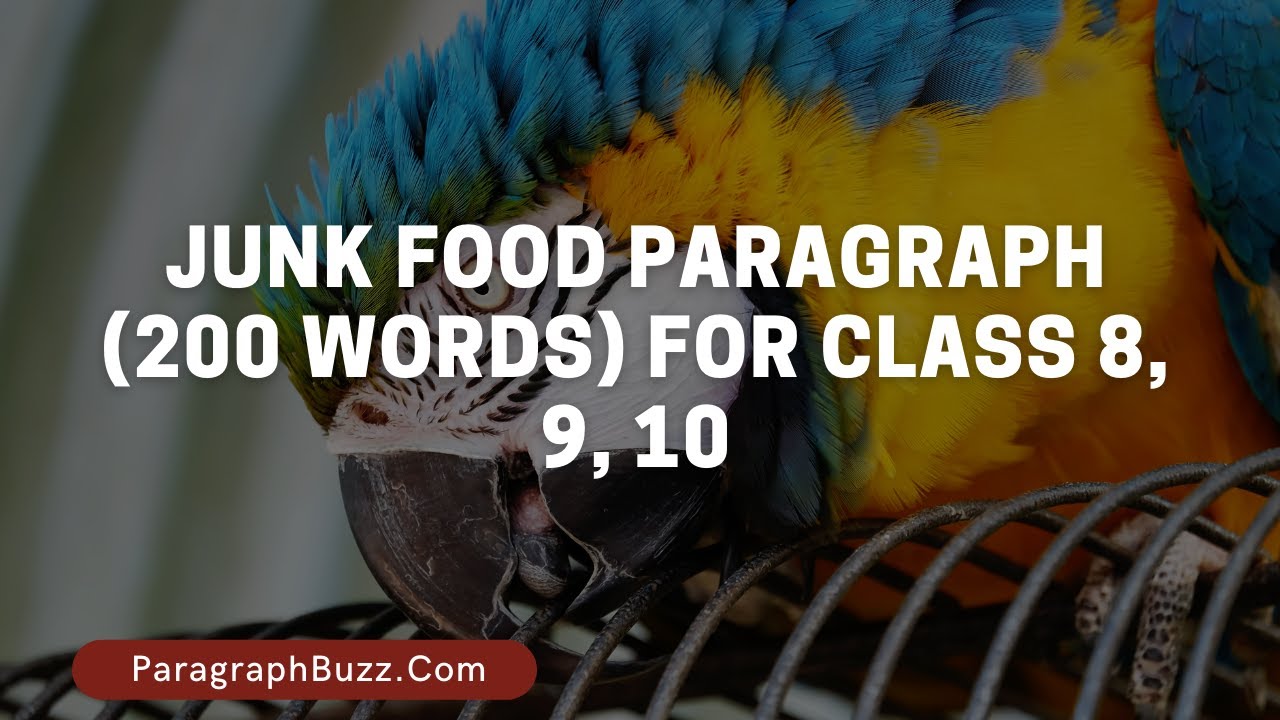 Junk Food Paragraph 200 Words For Class 8 9 10 YouTube junk-food-paragraph-200-words-for-class-8-9-10-youtube