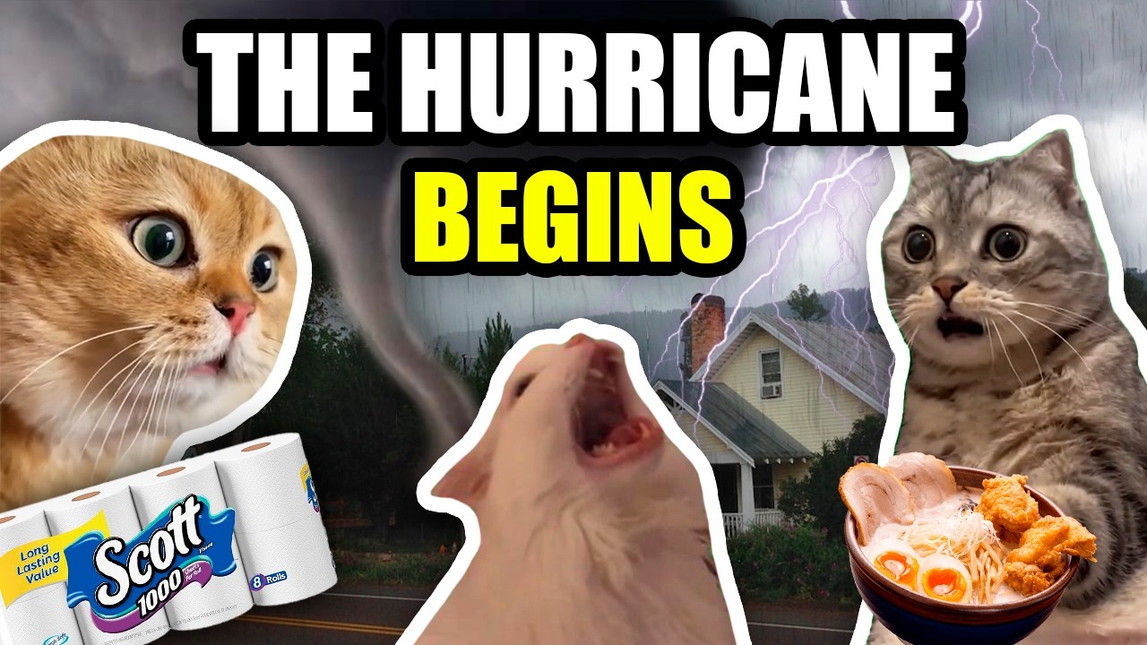 CAT MEMES: THE HURRICANE BEGINS - YouTube