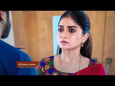 Ninnu kori serial today latest promo 