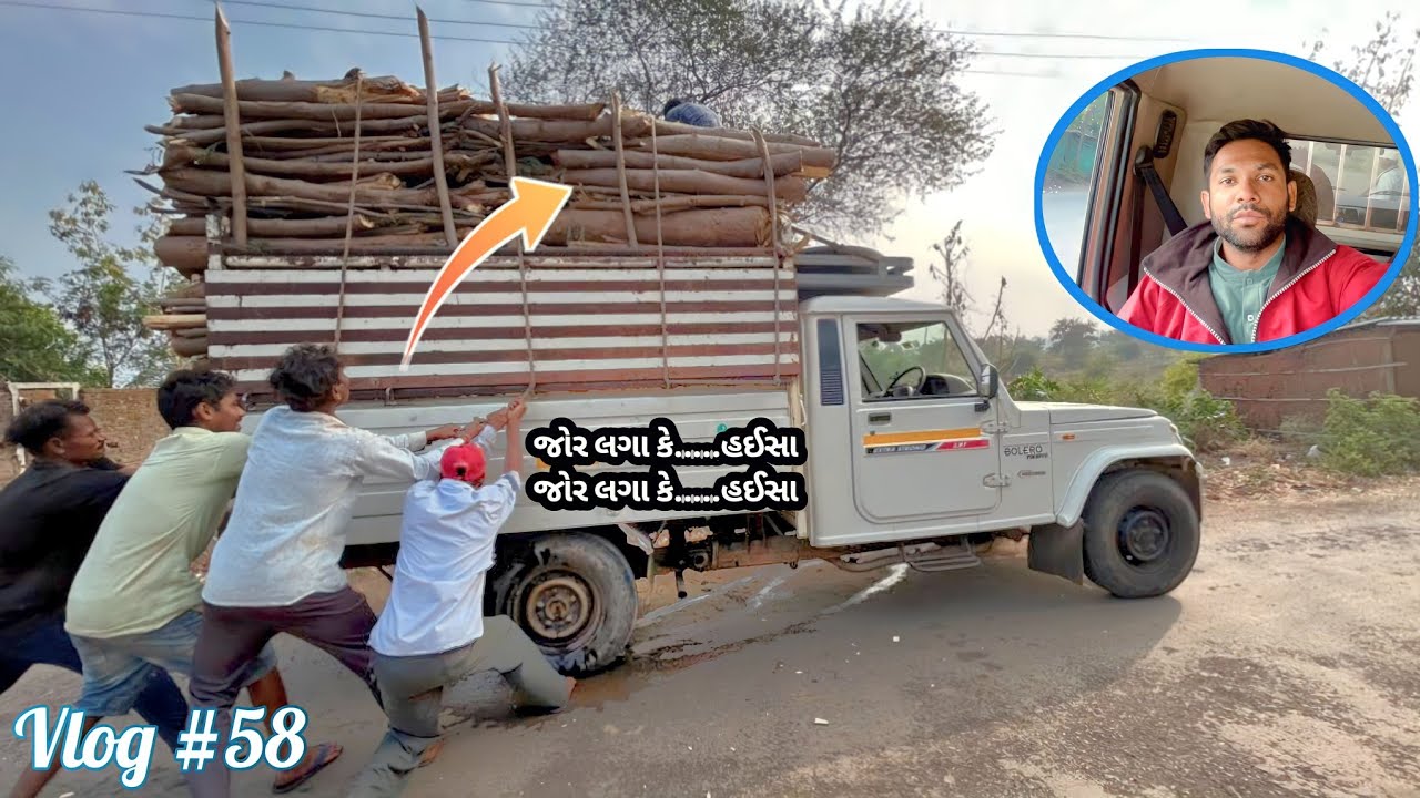 JK paper કંપનીમાં સુબાવળના લાકડા Mahindra Bolero pickup ભરીને ગયા 🚚 ...