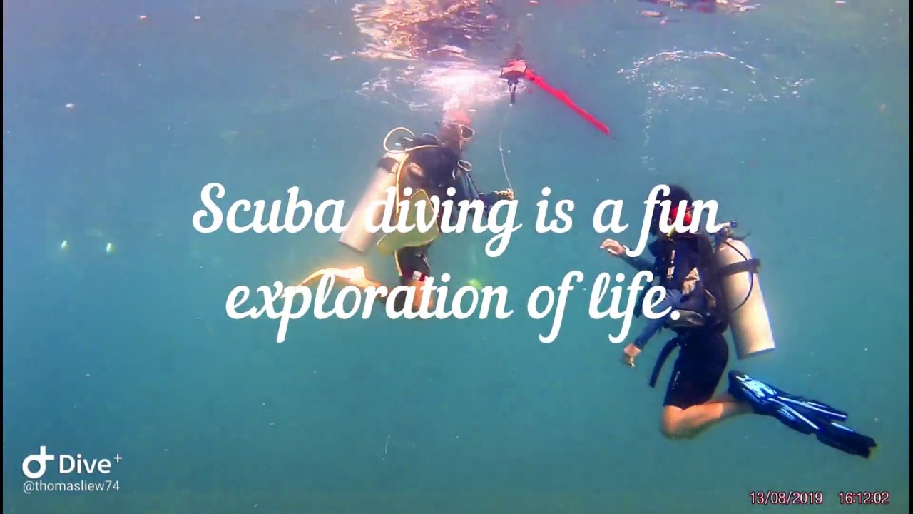 Tioman Fun Dive 12-13 Aug 2019 - YouTube