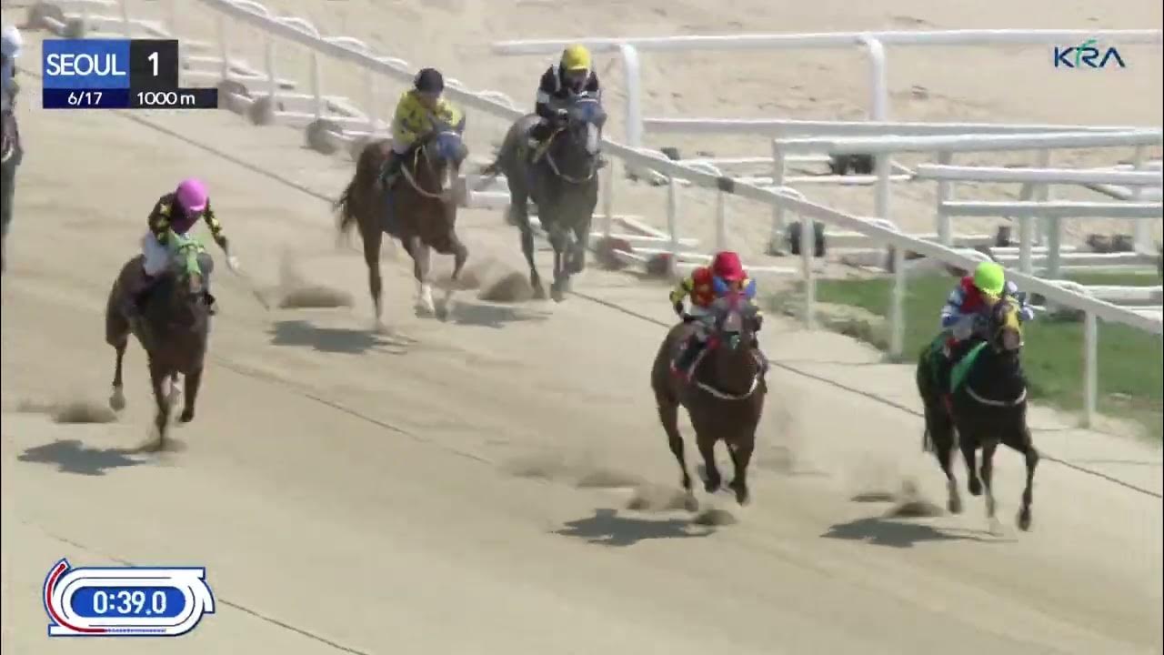 (Seoul) 2023.06.17 R1 Class 6 (1000M) Special Weight A Juvenile - YouTube