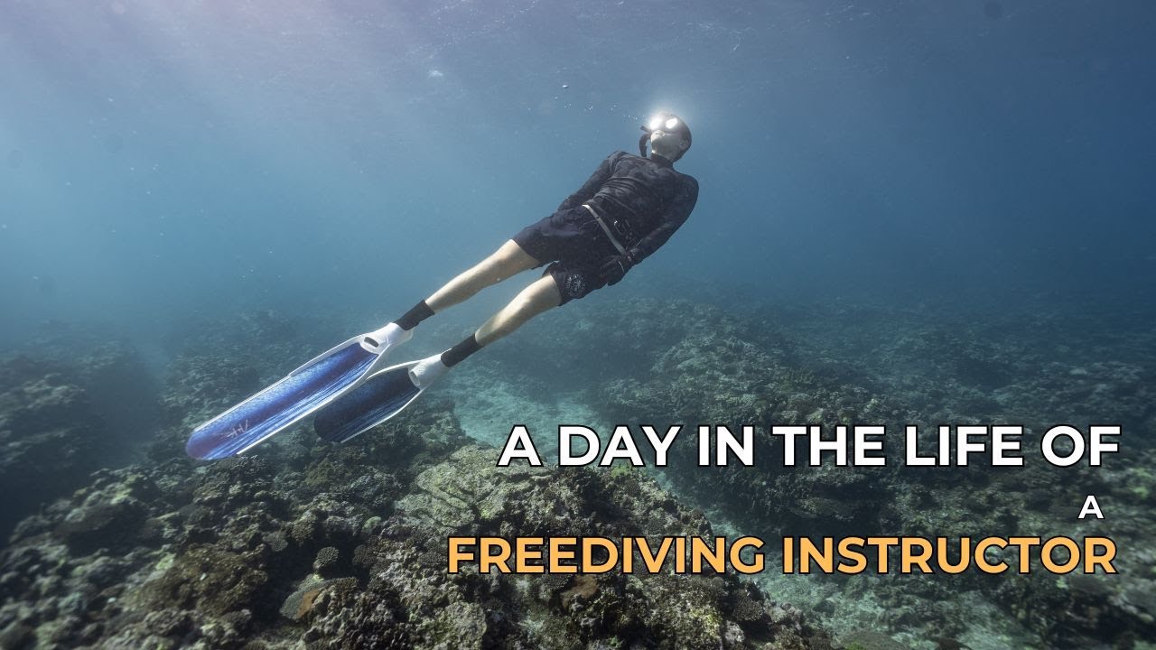 Depth and Dynamic Pool Training + Overcoming Doubt | Freediving Vlog ...