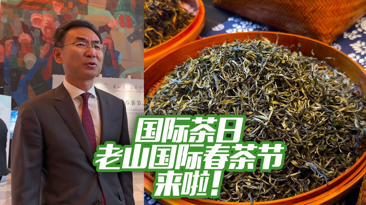 国际茶日 老山国际春茶节来啦！ - YouTube