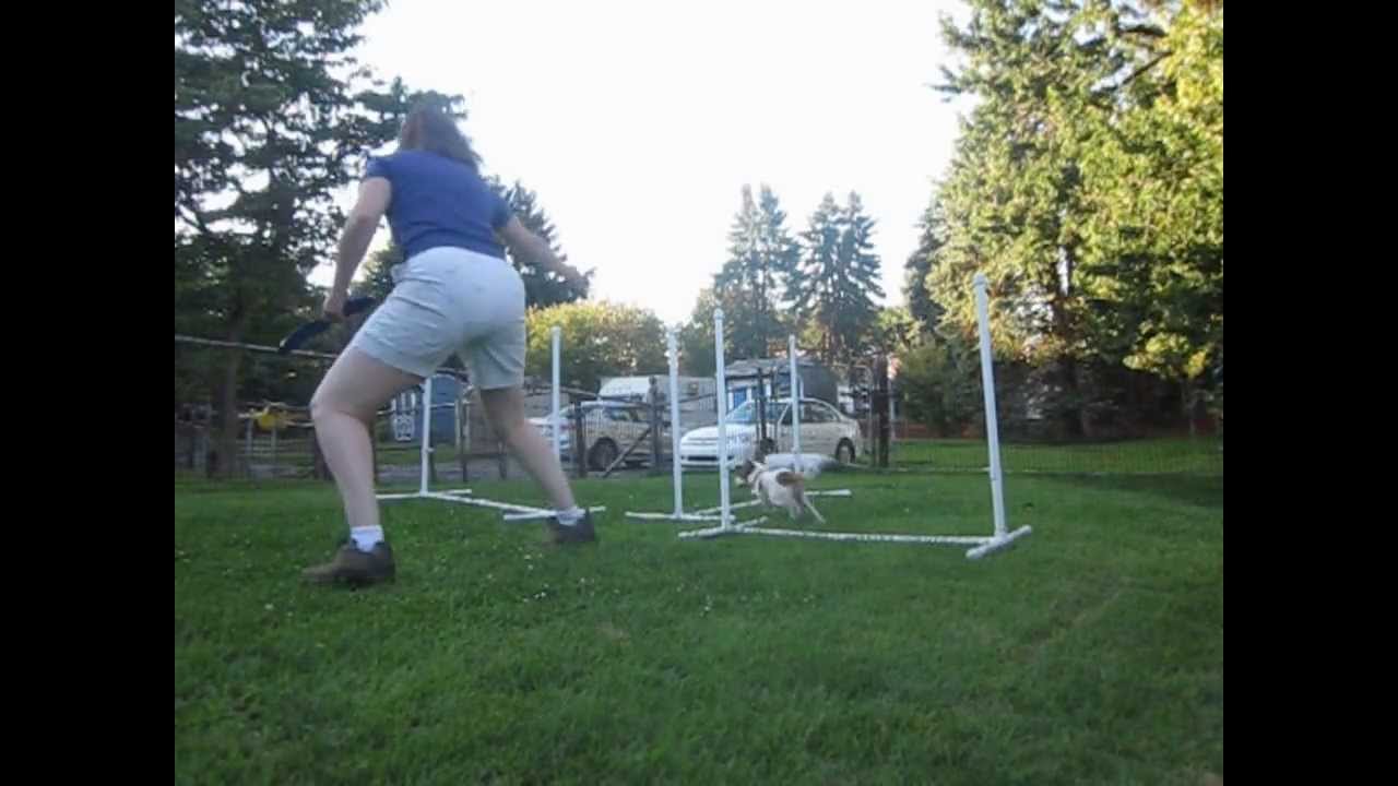 Sprout - pinwheel exercise - session 1 - YouTube