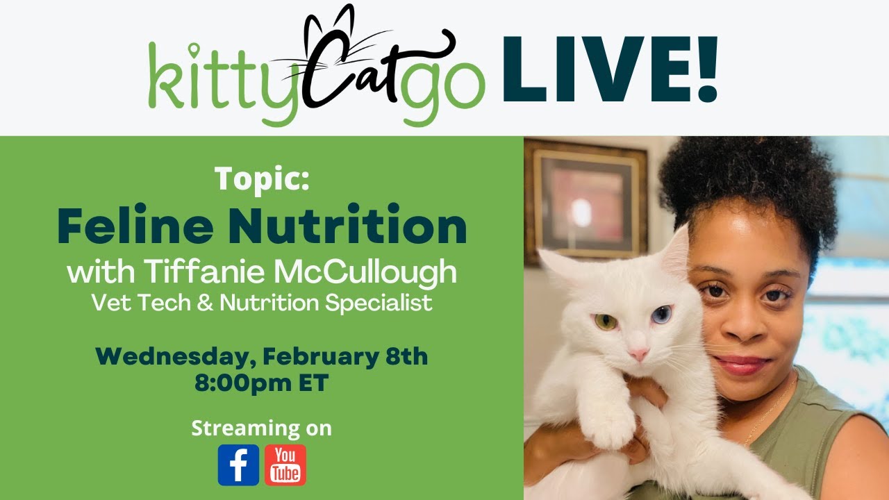 KittyCatGO LIVE! with Tiffanie McCullough - Feline Nutrition - YouTube