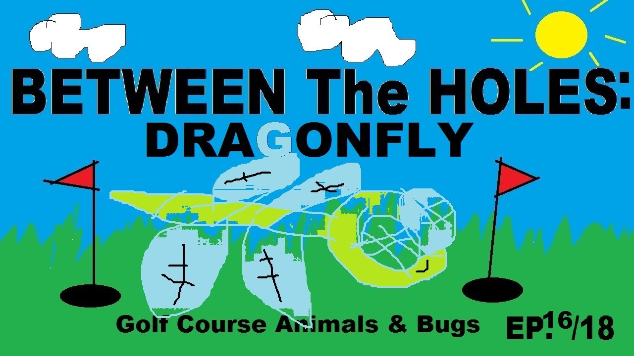 Between the Holes- A Golf Course Animal & Bug Documentary - Episode 16/ ...