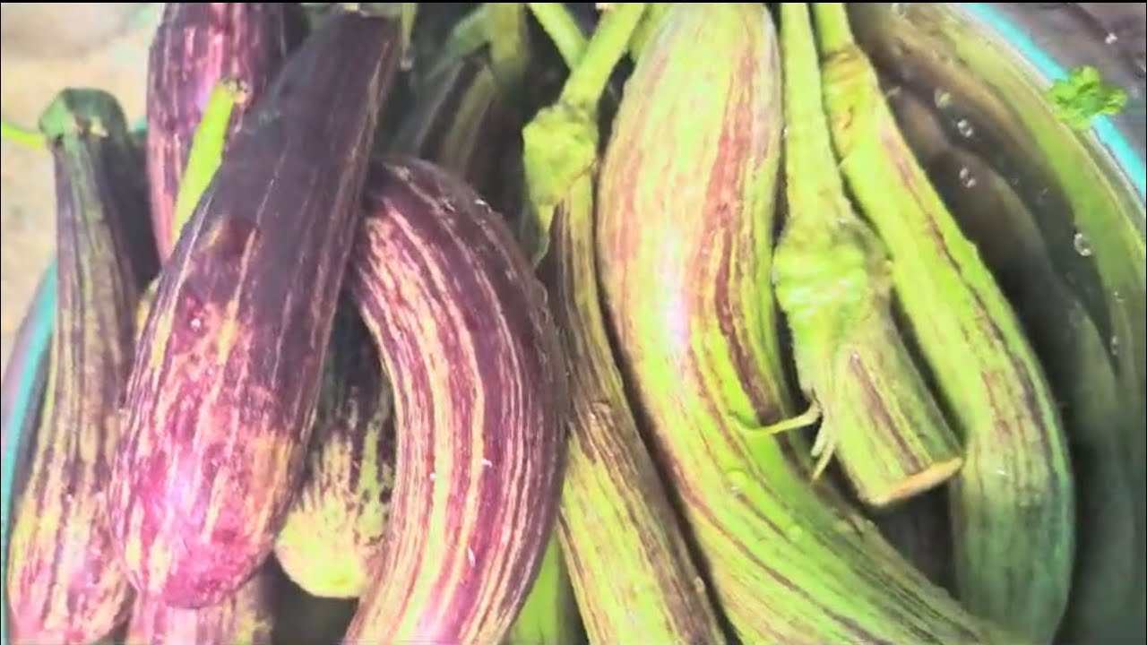 Vankaya Alshanthakaya Recipe Telugu | Brinjal Beans Curry | Amma Chethi ...