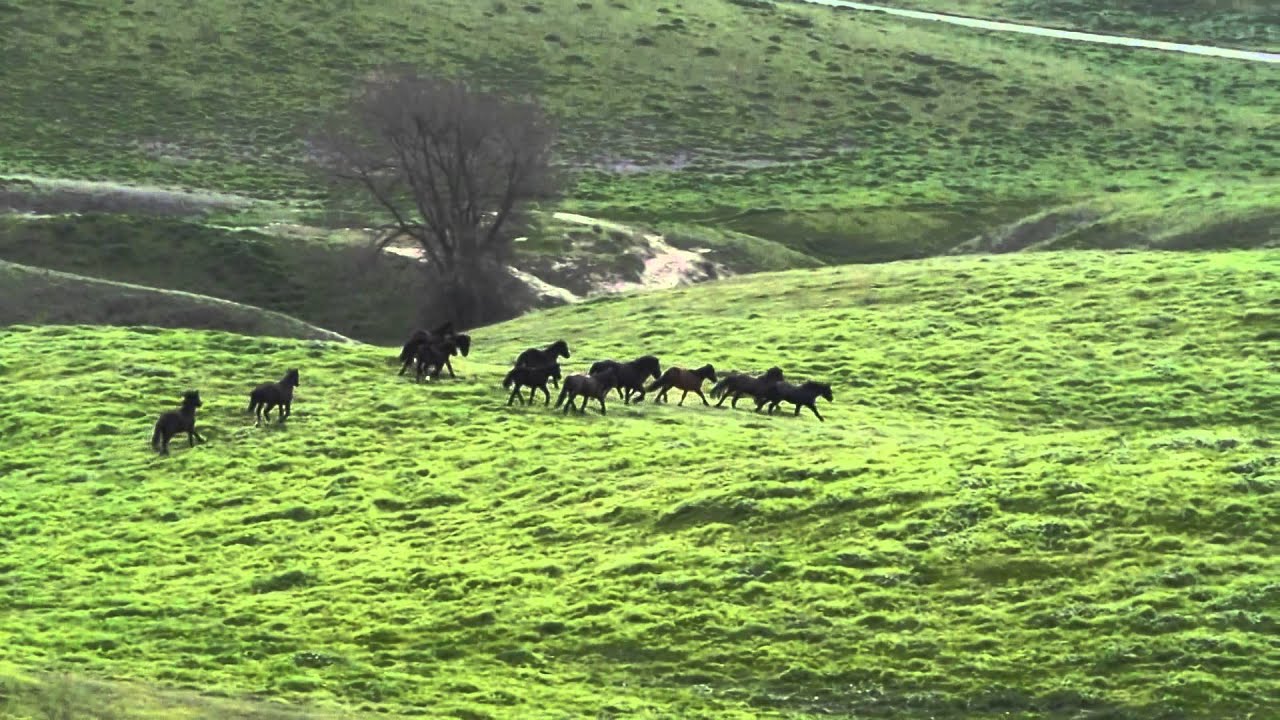 The Lockwood Family - YouTube