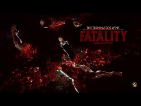 Flawless Fatality - YouTube