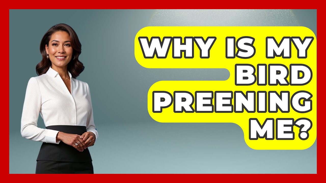 Why Is My Bird Preening Me? - Bird Watching Diaries - YouTube