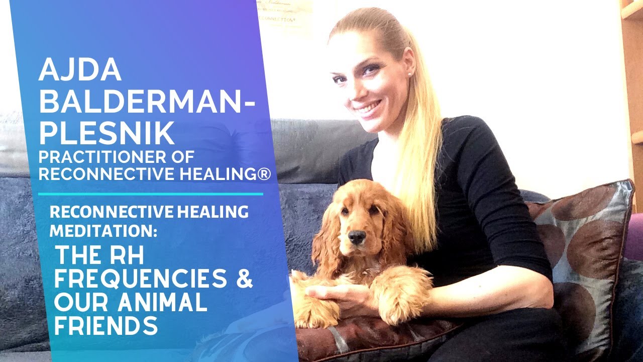 Feel The Frequencies Meditation with facilitator Reconnective Healing ...