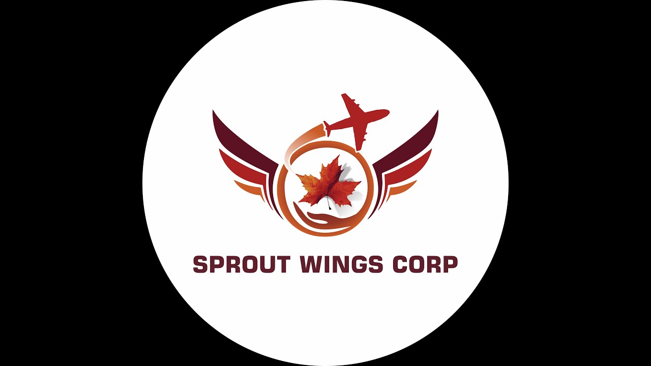 Sprout Wings Corp | Office Full Video | Cinematic Shoot | - YouTube