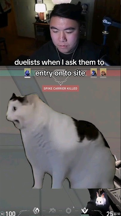 always the instalock duelists #valorant #valorantduelist - YouTube