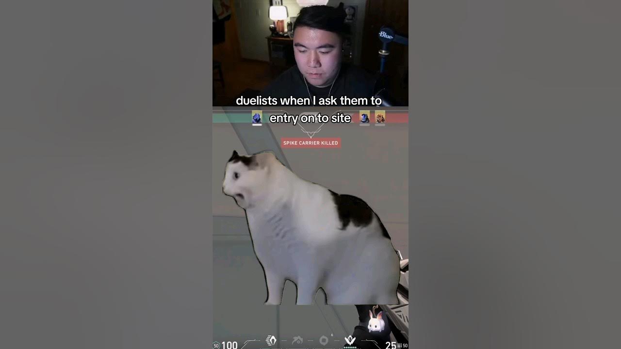 always the instalock duelists #valorant #valorantduelist - YouTube