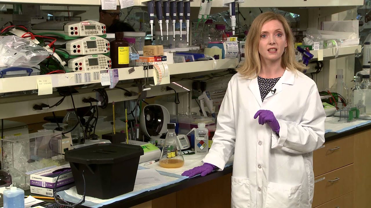 Four Tips for Developing a Sample Prep Protocol for SDS-PAGE or ...