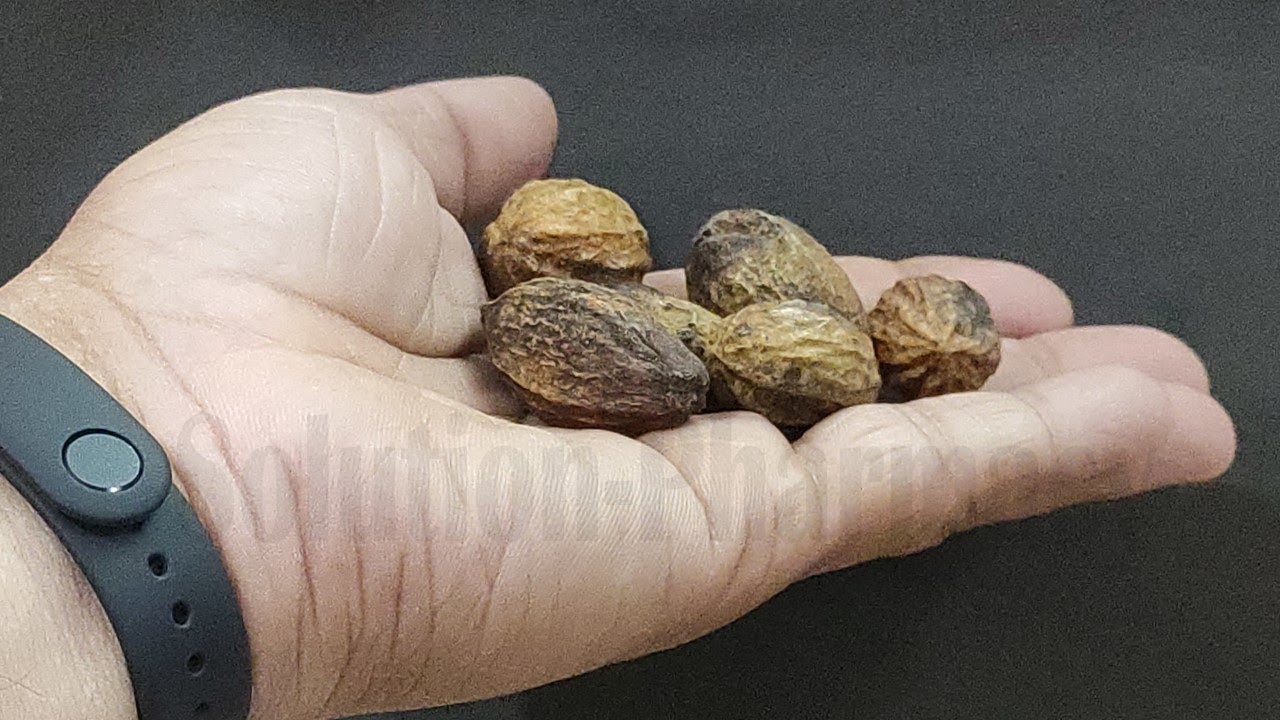 Constipation (Part- 02)= Classification of Laxative | Treatment of ...