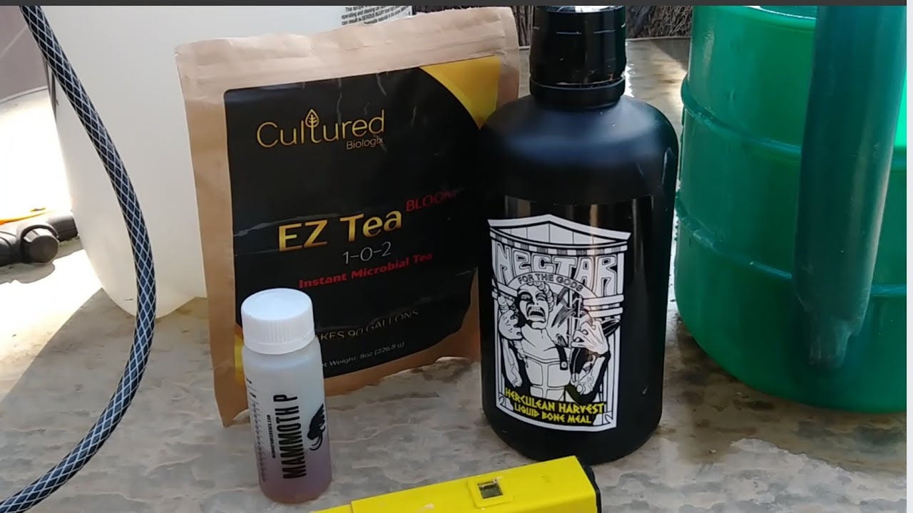 Ez Tea Bloom with NECTAR for the GOD'S ( Herculean harvest ) - YouTube