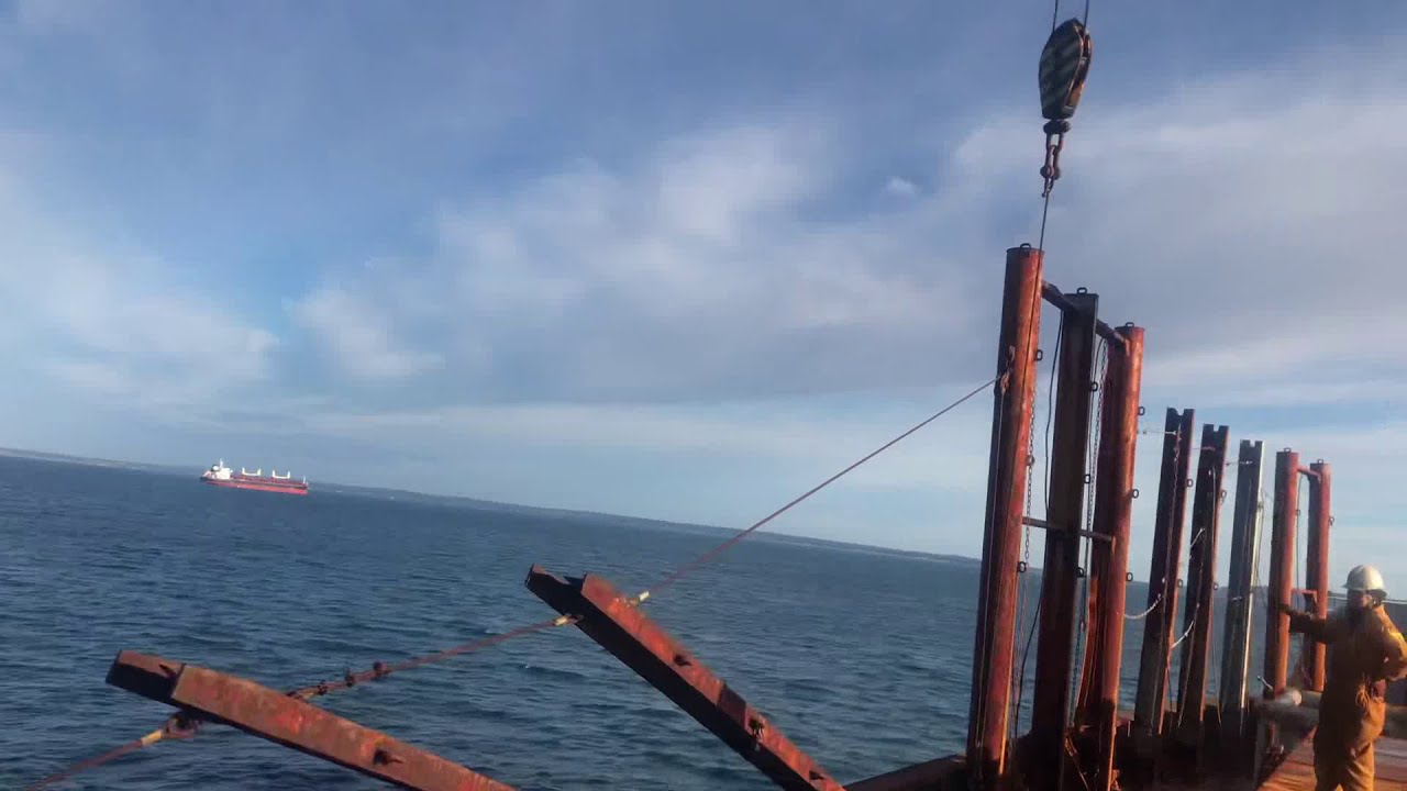 before loading logs on a bulk carrier. - YouTube