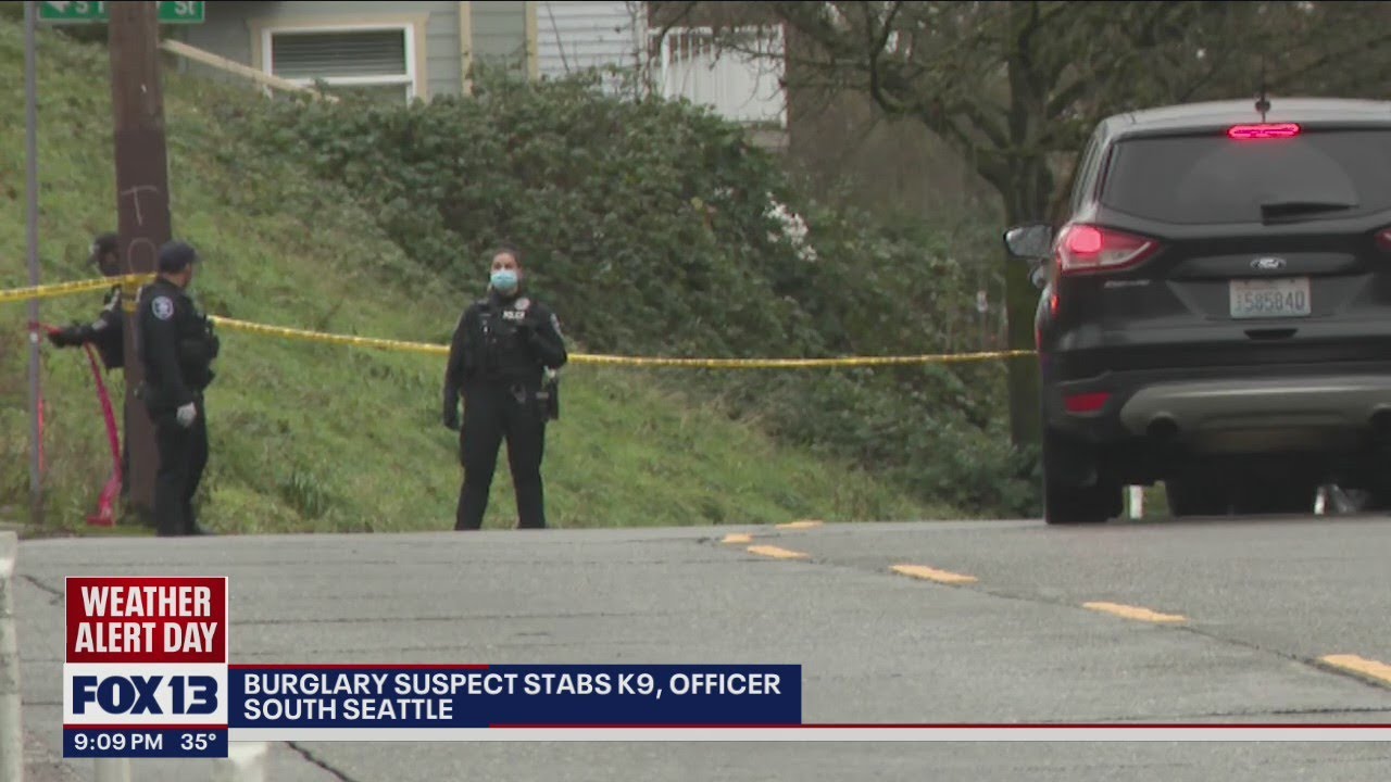 Suspect shot and killed by Seattle police after stabbing K9 to death ...