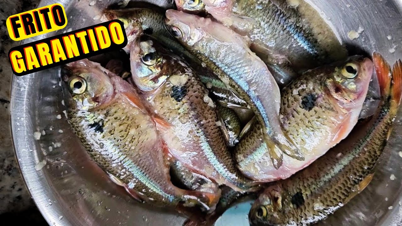 Pescando LAMBARI com minhoca e massinha de trigo - YouTube