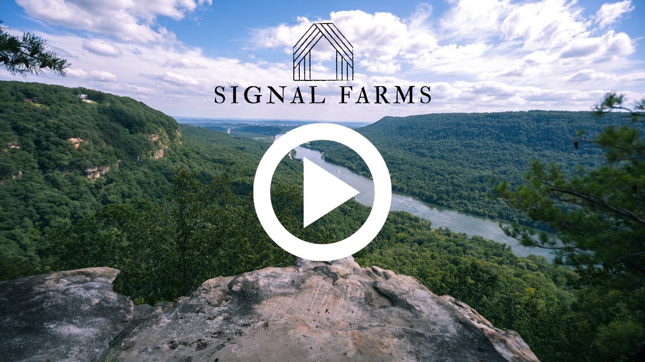 Signal Farms in beautiful Signal Mountain, Tennessee - YouTube