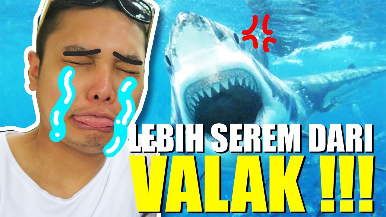 LAURENT RANDO DIVING DI TENGAH IKAN HIU ! | Seaworld Ancol - YouTube